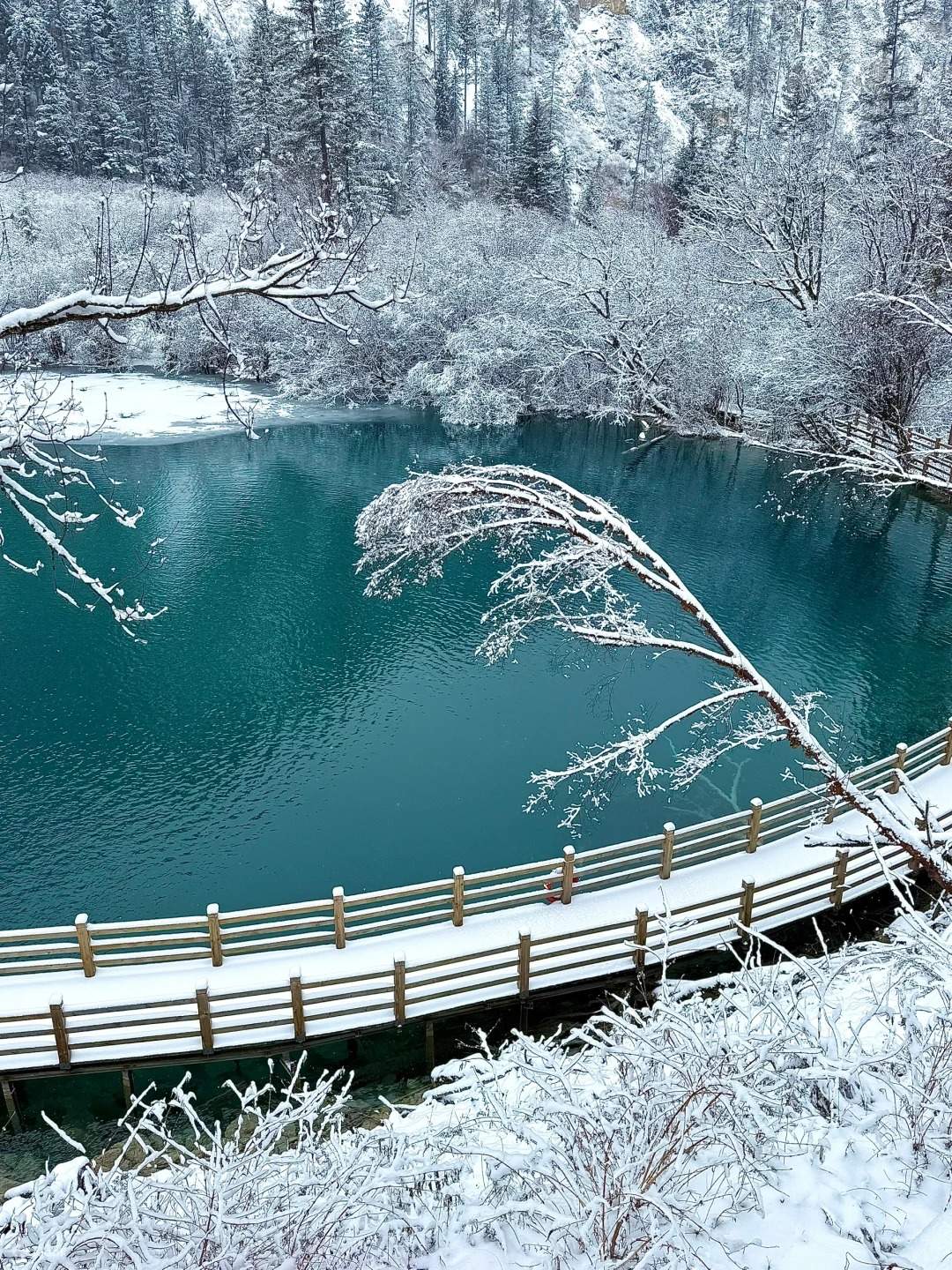 [Immortal Min River] 6-Day 5-Night Private Tour of Sichuan Panorama ...